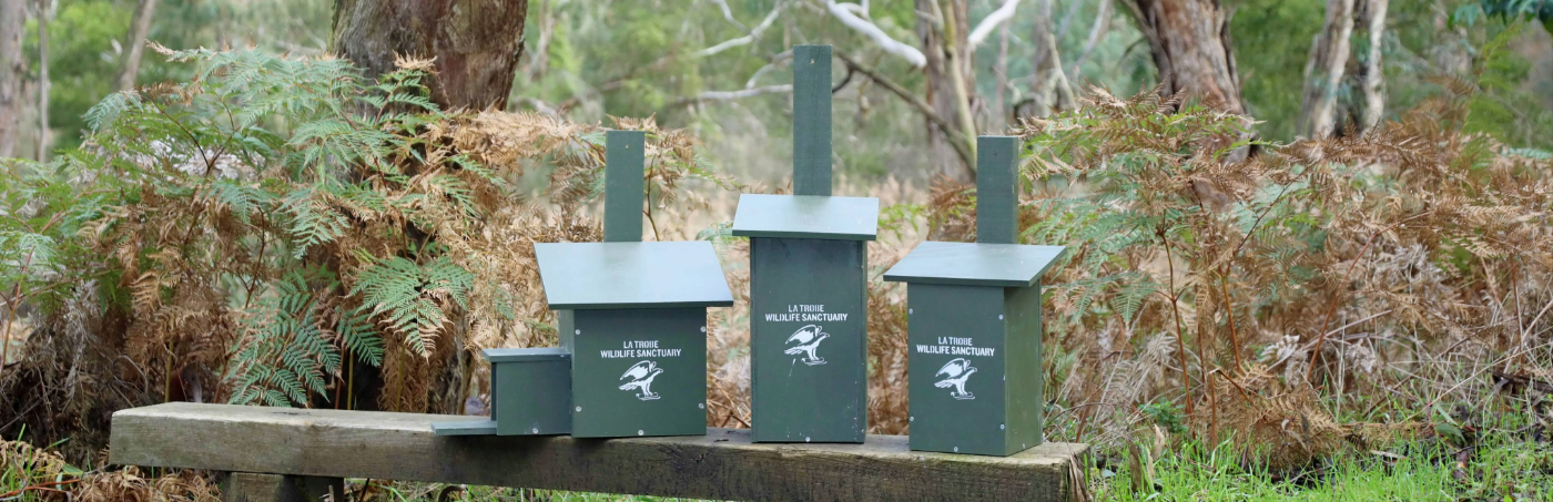Supporting bushfire habitat recovery | Central Highlands Water